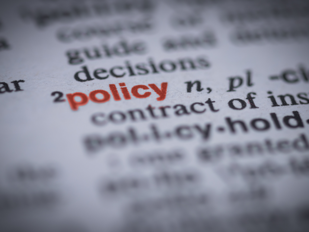 Purchasing policy overview [With template] - Lolita Verite